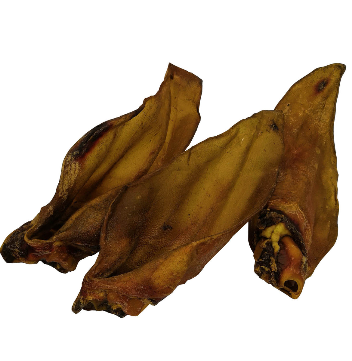 Buffalo Ears - 1pc – Raw Paws Emporium