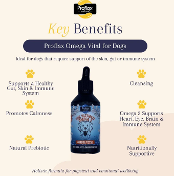Proflax Omega Vital - now contains Salmon oil! (excl. 20% VAT) – Raw ...