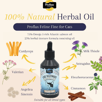 Proflax Feline Fine - now contains Salmon oil! (excl. 20% VAT) – Raw ...