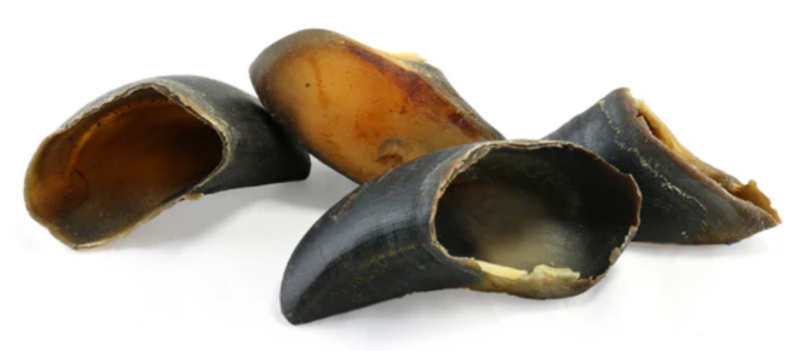 Buffalo Hooves – Raw Paws Emporium