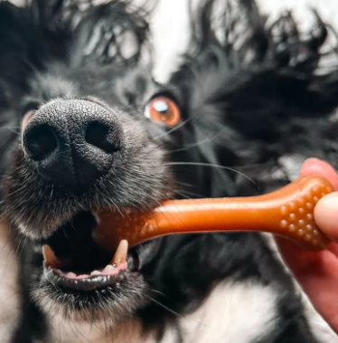 Veggie Nubby Bone – Raw Paws Emporium