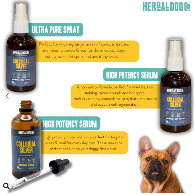 Ultra Pure Colloidal Silver Spray for Dogs, Cats & Pets, Natural & Ver ...