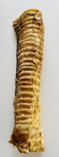 Bully tubes (Beef trachea) – Raw Paws Emporium