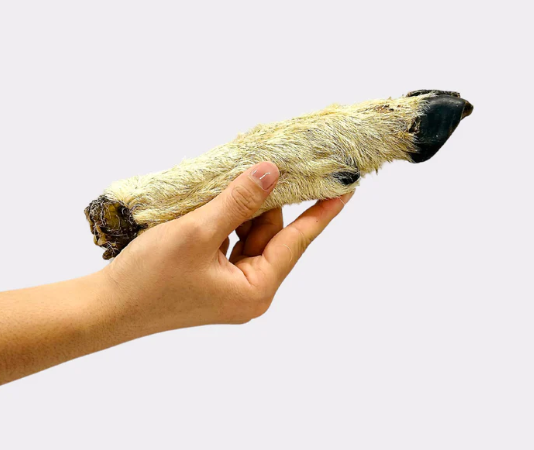 Hairy Lamb Feet "Lamb Legs" – Raw Paws Emporium